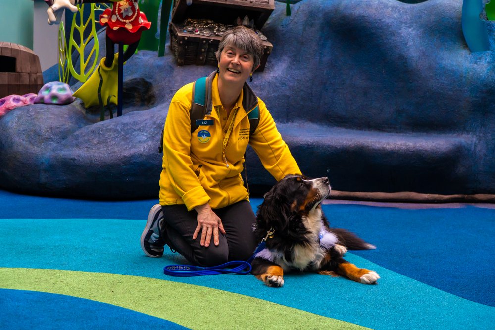 Therapy Dog Volunteer | Great Ormond Street Hospital